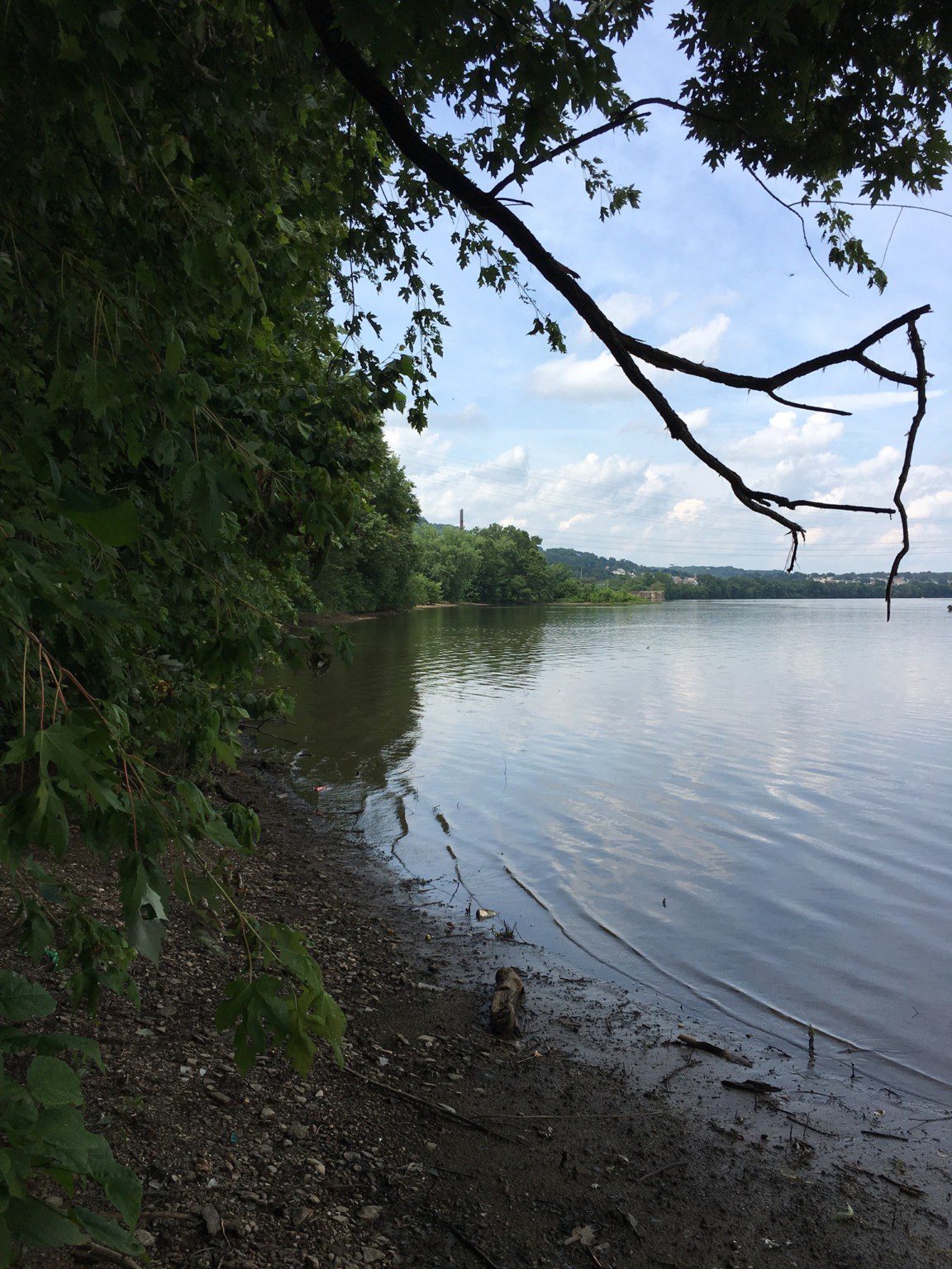 Trail Projects | Friends of the Riverfront