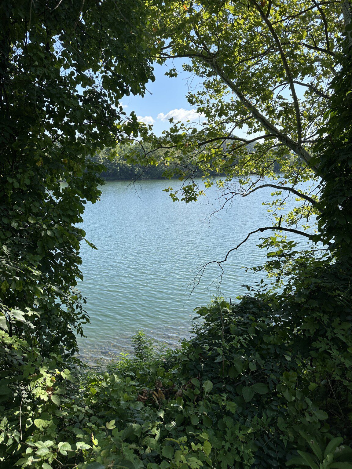 Trail Building Projects | Friends of the Riverfront
